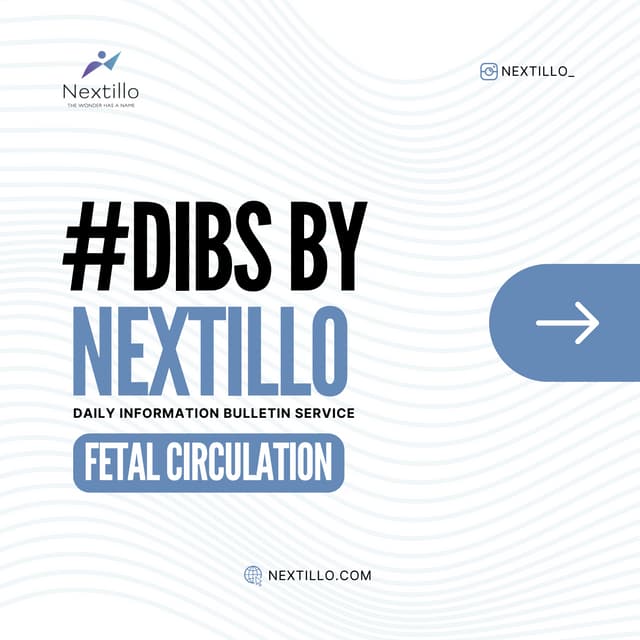Fetal Circulation | Dibs | Nextillo Medical App | PDF