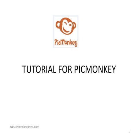 How to Use Picmonkey | PPT