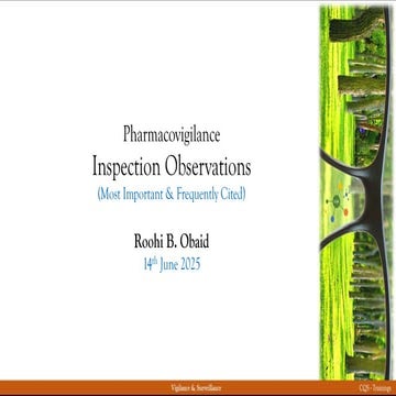 250614-PV Inspection Observations-CQS.pdf