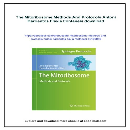 The Mitoribosome Methods And Protocols Antoni Barrientos Flavia ...