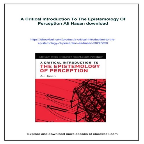 A Critical Introduction To The Epistemology Of Perception Ali Hasan | PDF