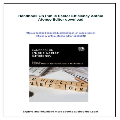 Handbook On Public Sector Efficiency Antnio Afonso Editor | PDF