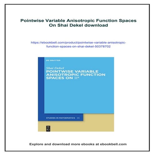 Pointwise Variable Anisotropic Function Spaces On Shai Dekel | PDF