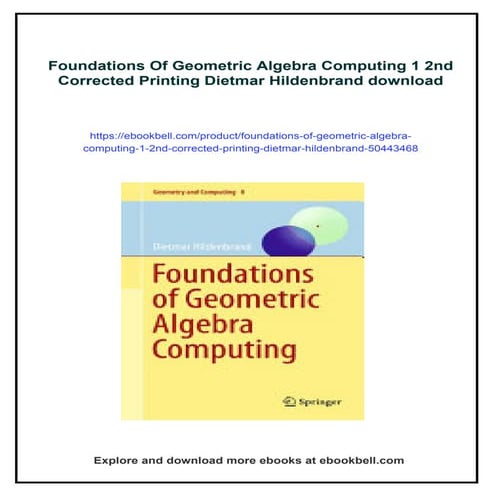 Foundations Of Geometric Algebra Computing 1 2nd Corrected Printing Dietmar Hildenbrand | PDF