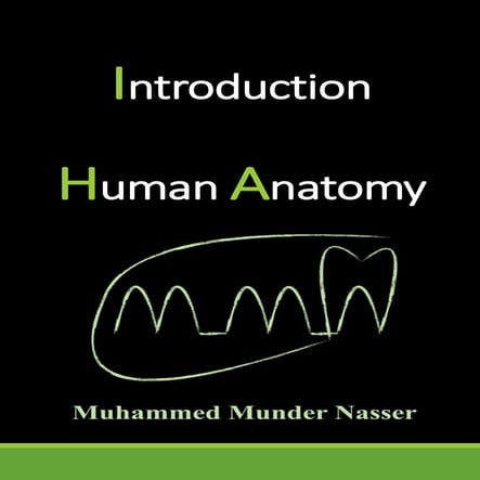 Anatomical terminology | PPT
