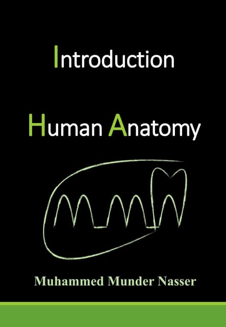 Basic anatomical terminology | PPT