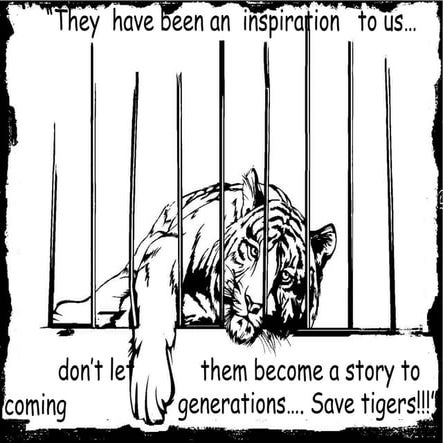 save the tiger sketch.pptx