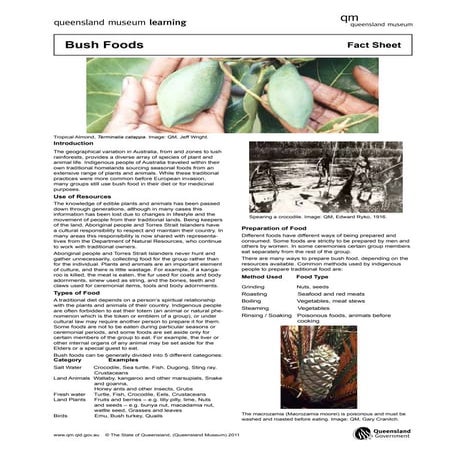fact-sheet-bush-foods | PDF
