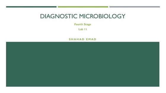 Italian Mafia Slang Terms | PDF | Crime & Harmful Acts to Individuals ...