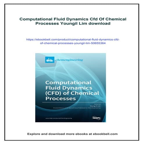 Computational Fluid Dynamics Cfd Of Chemical Processes Youngil Lim | PDF