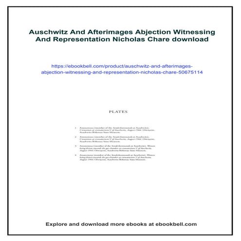 Auschwitz And Afterimages Abjection Witnessing And Representation ...