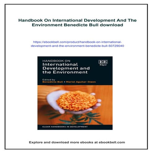 Handbook On International Development And The Environment Benedicte ...