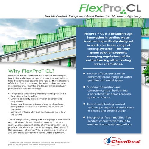 FlexPro Brochure | PDF