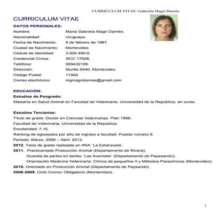 CV Gabriela Magri Danrée | PDF