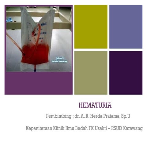 Ppt hematuria dan gejala dan diffrent diagnosis | PPT