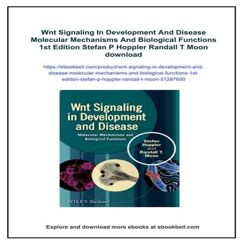 Wnt Signaling In Development And Disease Molecular Mechanisms And ...