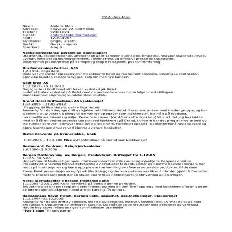 CV2015 Anders November | PDF