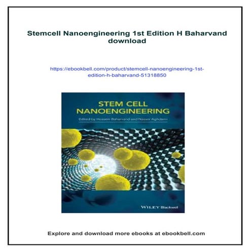 Stemcell Nanoengineering 1st Edition H Baharvand | PDF