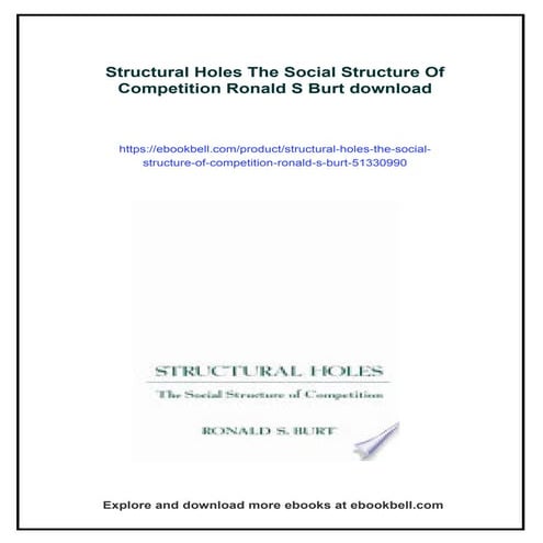 Structural Holes The Social Structure Of Competition Ronald S Burt | PDF