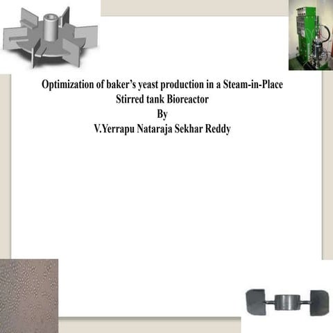 Fermentation project | PPT