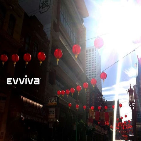 Evviva Brands Overview | PPTX