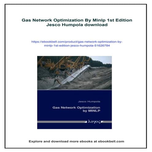 Gas Network Optimization By Minlp 1st Edition Jesco Humpola | PDF