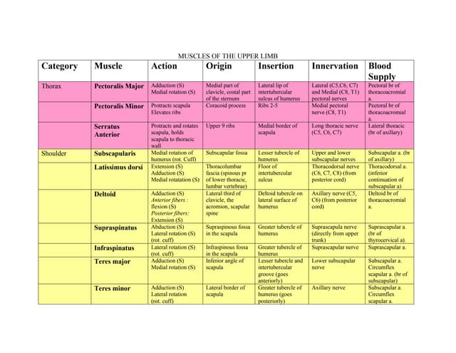Muscles of the upper limb | PDF