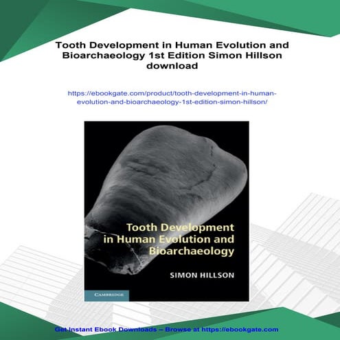 Tooth Development in Human Evolution and Bioarchaeology 1st Edition ...