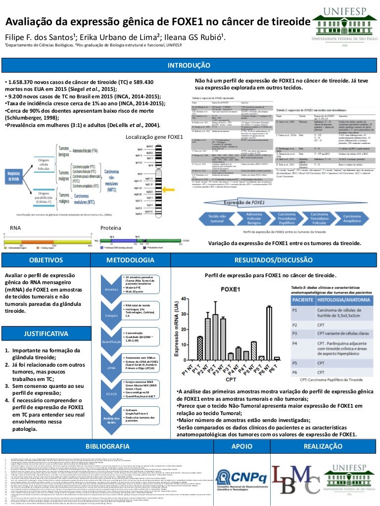 Poster IC Congresso UNIFESP Final