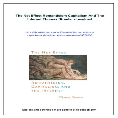The Net Effect Romanticism Capitalism And The Internet Thomas Streeter ...