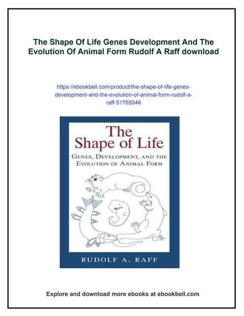 Evo-Devo | PPTX | Biological Sciences | Science