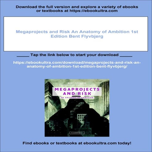 Megaprojects and Risk An Anatomy of Ambition 1st Edition Bent Flyvbjerg ...