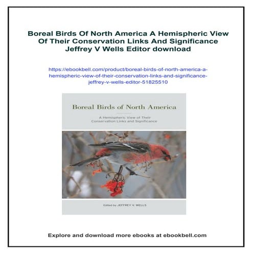 Boreal Birds Of North America A Hemispheric View Of Their Conservation ...