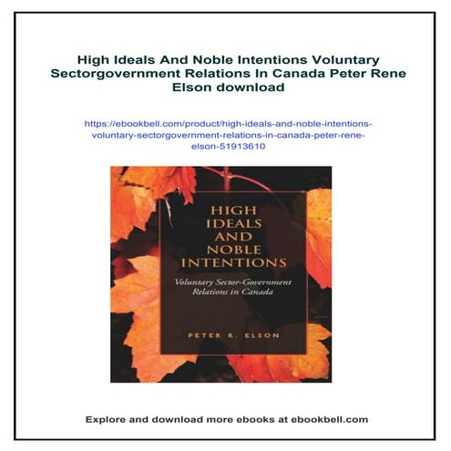 High Ideals And Noble Intentions Voluntary Sectorgovernment Relations ...