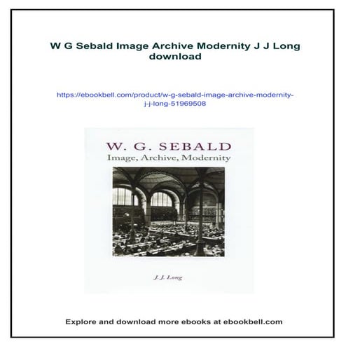 W G Sebald Image Archive Modernity J J Long | PDF