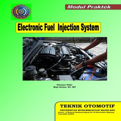 259900734-EFI-pdf.pdf