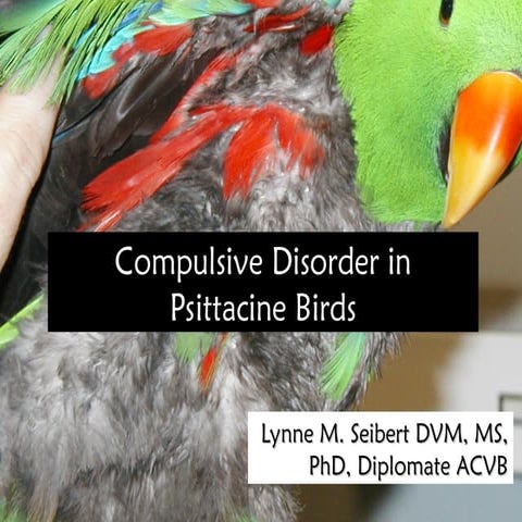 Abnormal behavior of birds in captivity.pptx