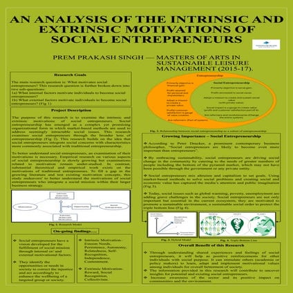 Thesis Poster - Social Entrepreneurs | PDF