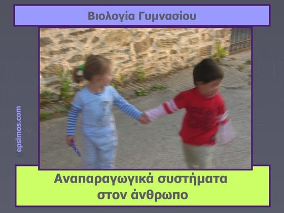 Aναπαραγωγικό σύστημα | PPT