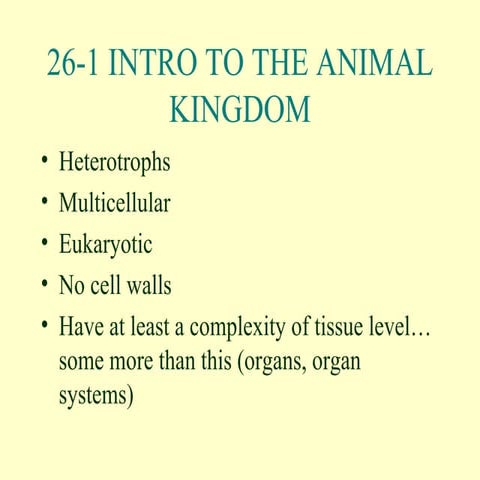25 intro to the animal kingdom | PPT