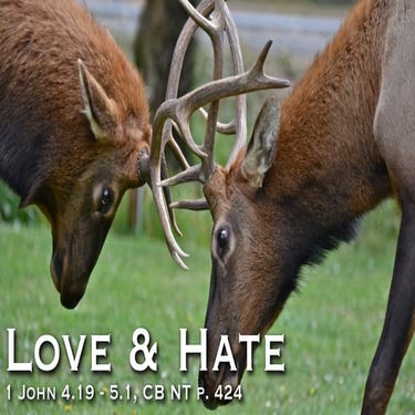 Love & Hate | PDF