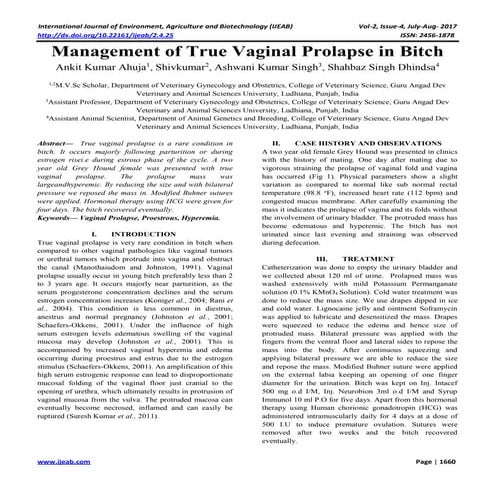 Management of True Vaginal Prolapse in Bitch | PDF