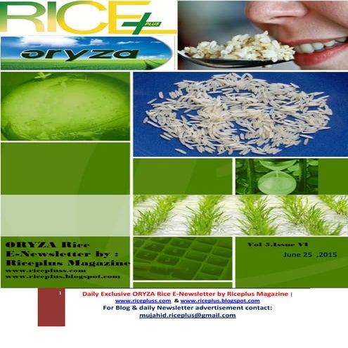 Fao rice price update september 2020 | PDF