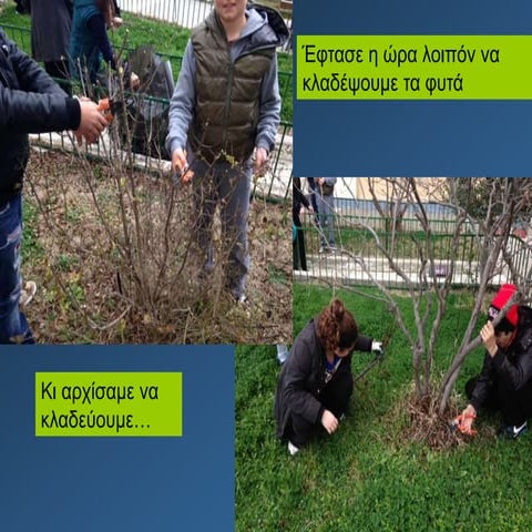ΓΥΜΝΑΣΙΟ ΣΑΠΩΝ 2014 ΥΛΟΠΟΙΗΣΗ | PPTX