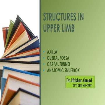 Detailed Anatomical Overview of Upper Limb Structures: Axilla, Cubital ...