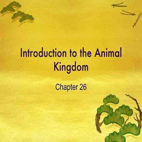 26 intro to the animal kingdom | PPT