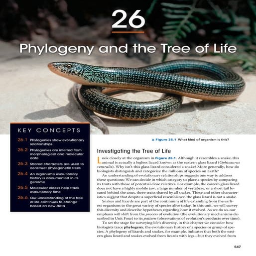 26 phylogeny and the tree of life | PDF