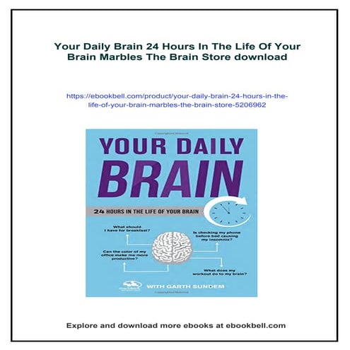 Your Daily Brain 24 Hours In The Life Of Your Brain Marbles The Brain ...