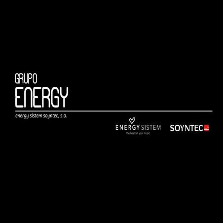 OEM Corporate Presentation 2010 | PPT