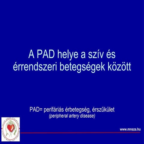 PAD web | PPT